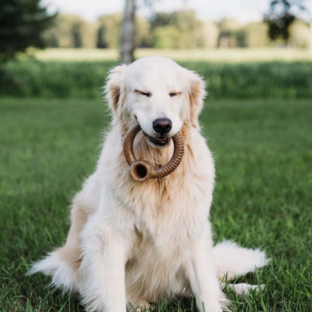Benebone Tyggelegetøj Ring med Smag af Bacon 3 Størrelser
