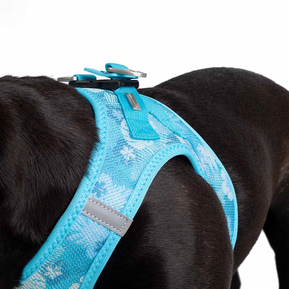 Curli Hundesele Step In Air Mesh SE19 Aloha Ocean
