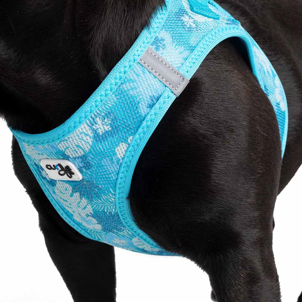 Curli Hundesele Step In Air Mesh SE19 Aloha Ocean