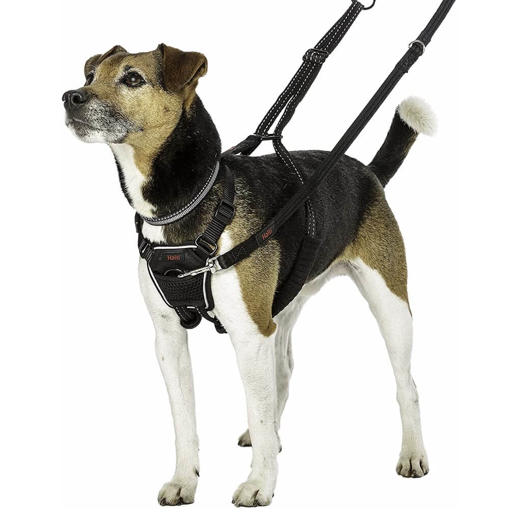 Halti No Pull Anti Tr k Tr nings Hundesele Halti No Pull Anti Tr k Tr nings Hundesele