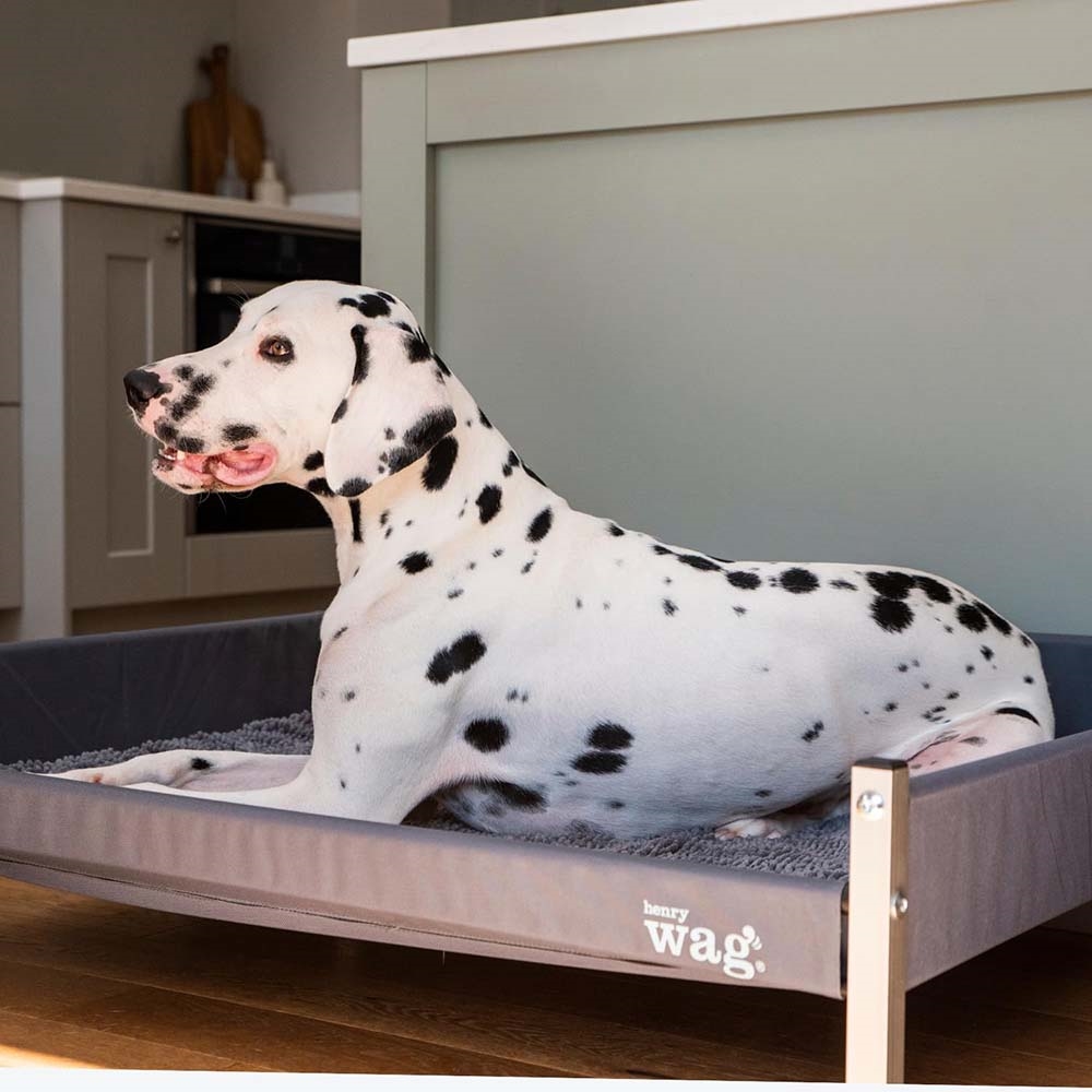 Henry Wag Elevated Dog Bed Hævet Hundeseng På Ben