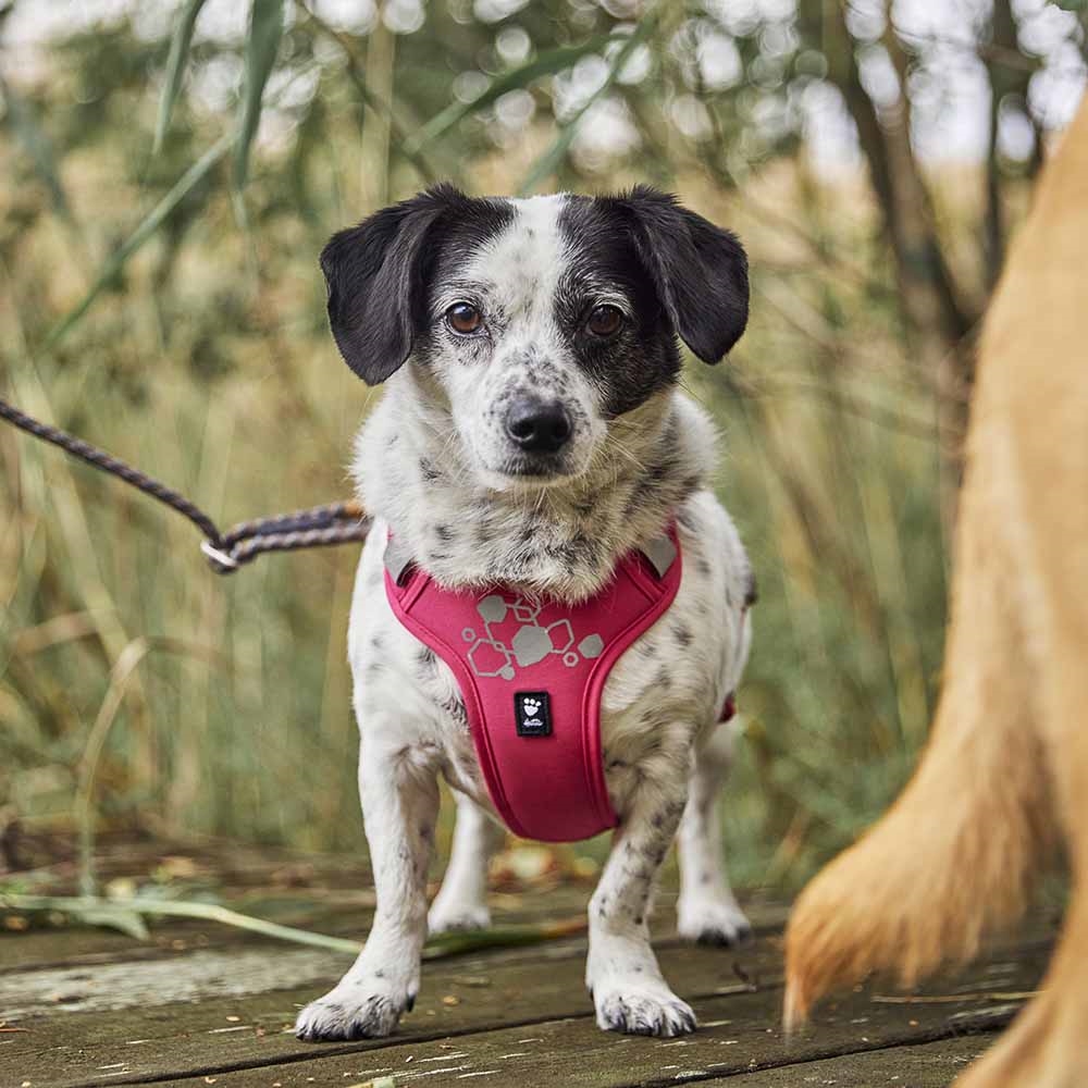 Hurtta Weekend Warrior 2.0 ECO Hundesele Ruby Pink