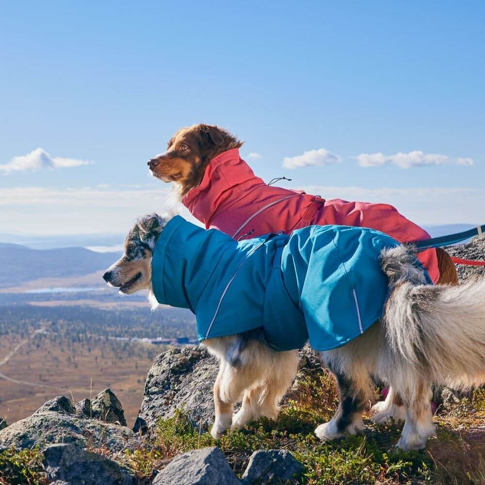 Hurtta Expedition Parka Vol.2 Hundejakke Design Blackberry