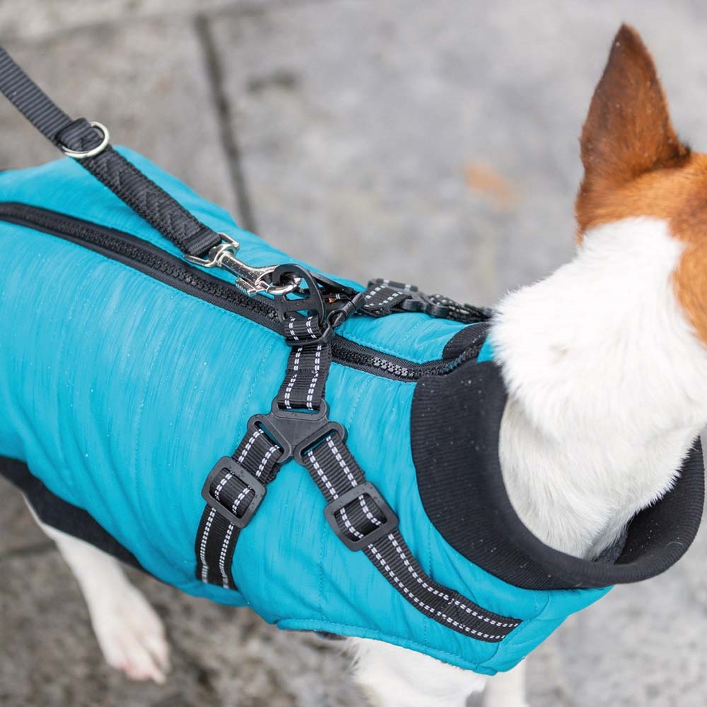 Trixie Pontis Hundejakke med Indbygget Sele i Aqua Blå