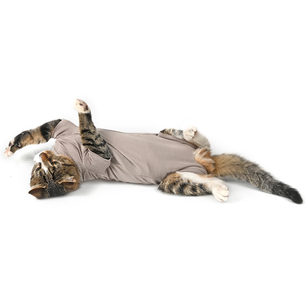 Buster Body Suit Step'n Go Beskyttelsesdragt til Katte Blød & Åndbar