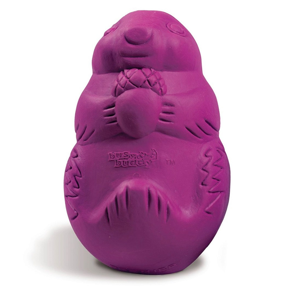 Busy Buddy Squirrel Dude Aktivitetslegetøj