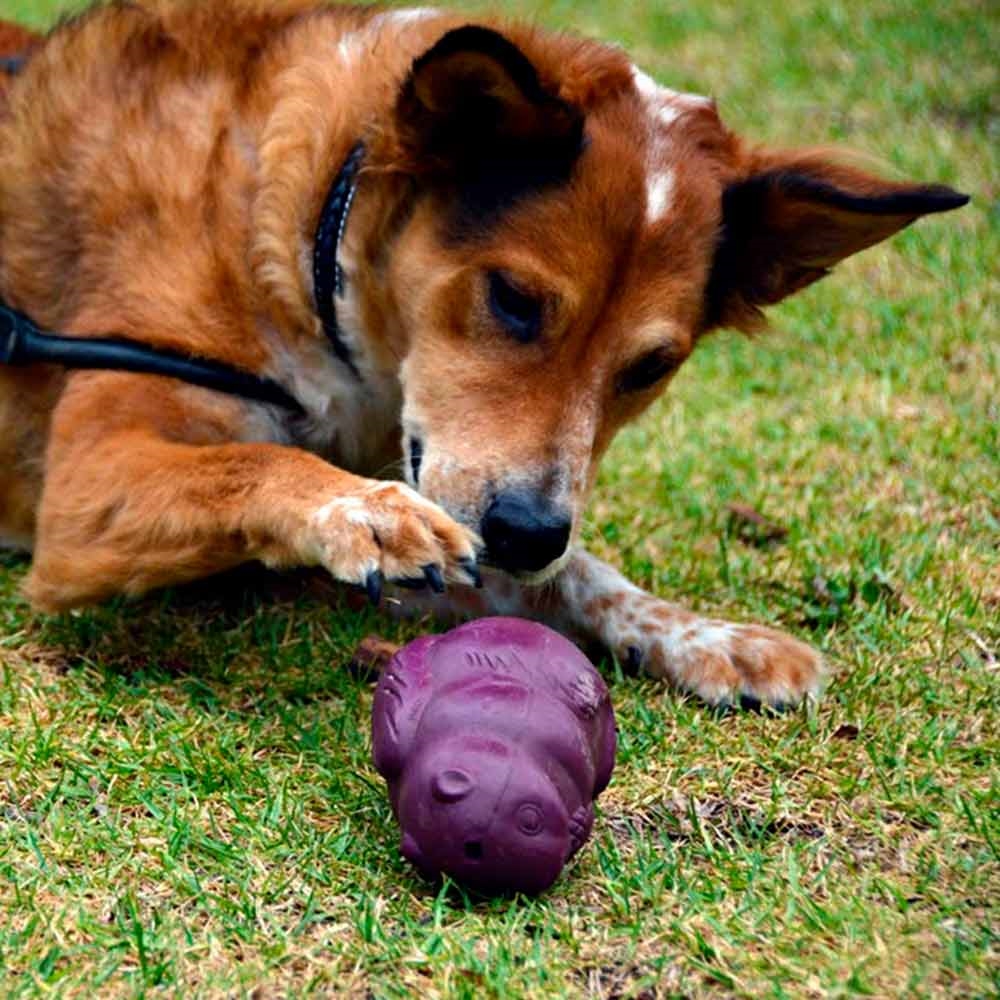 Busy Buddy Squirrel Dude Aktivitetslegetøj