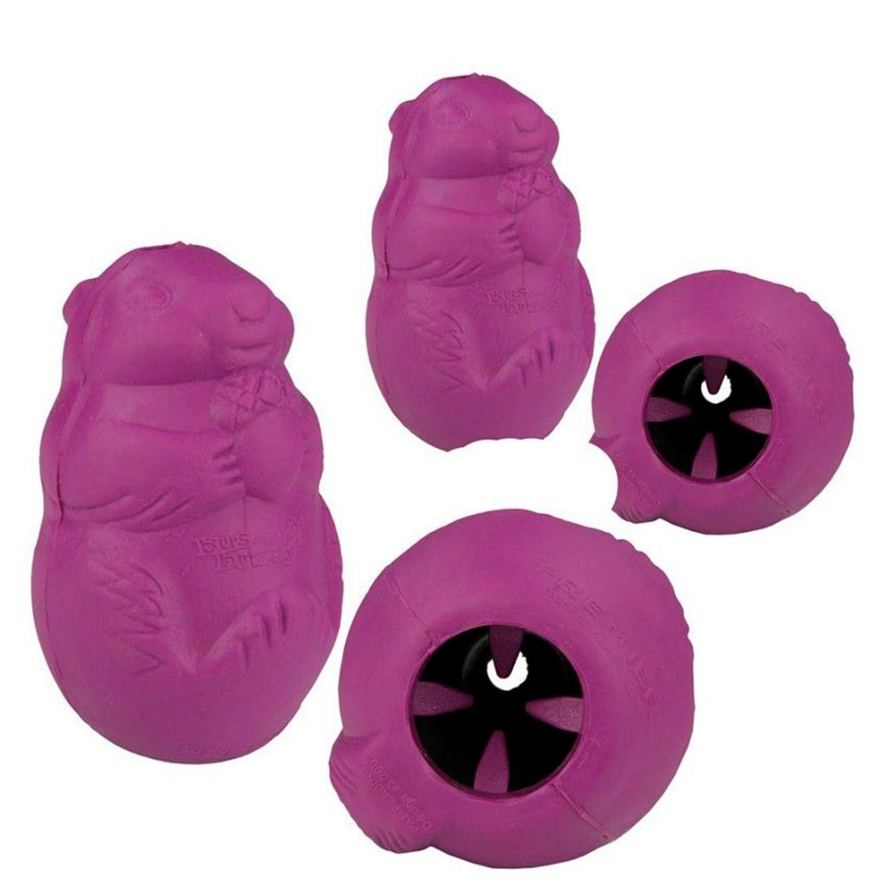 Busy Buddy Squirrel Dude Aktivitetslegetøj