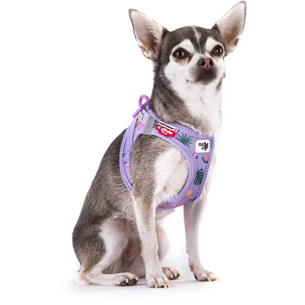 Curli Hundesele Vest Clasp Air-Mesh SE23 Lavendel Flamingo
