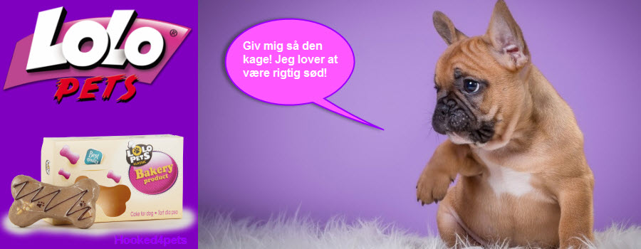 Lolo Pets Classic fra Lolo Pets Classic