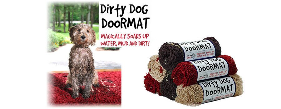 Dog Gone Smart Dog Gone Smart