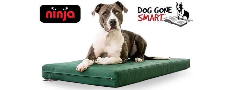 Dog Gone Smart Dog Gone Smart