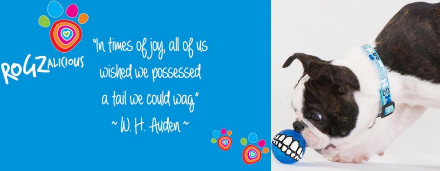 Rogz hundelegetøj fra Rogz