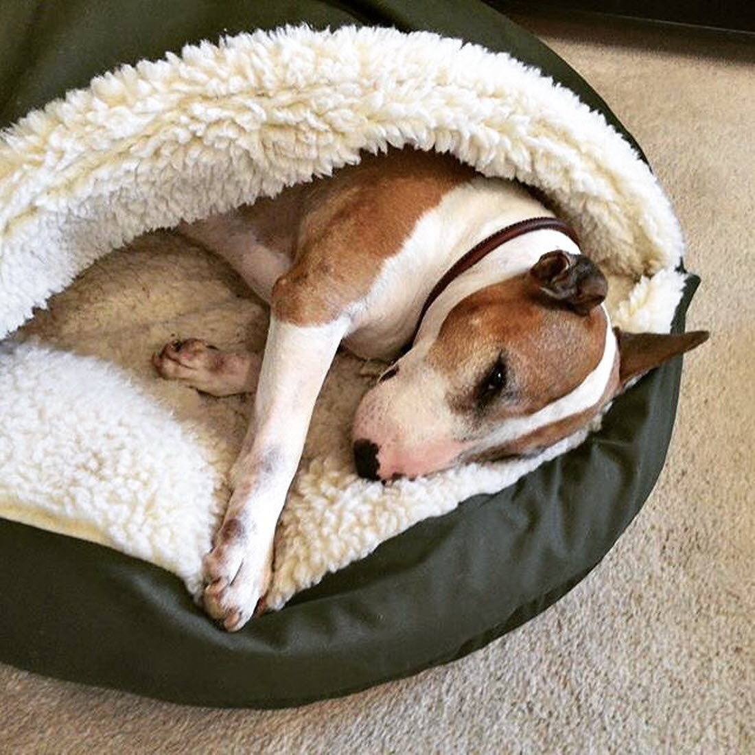 SnooZer Cozy Cave Hundehule LUXURY MICROSUEDE Design Black