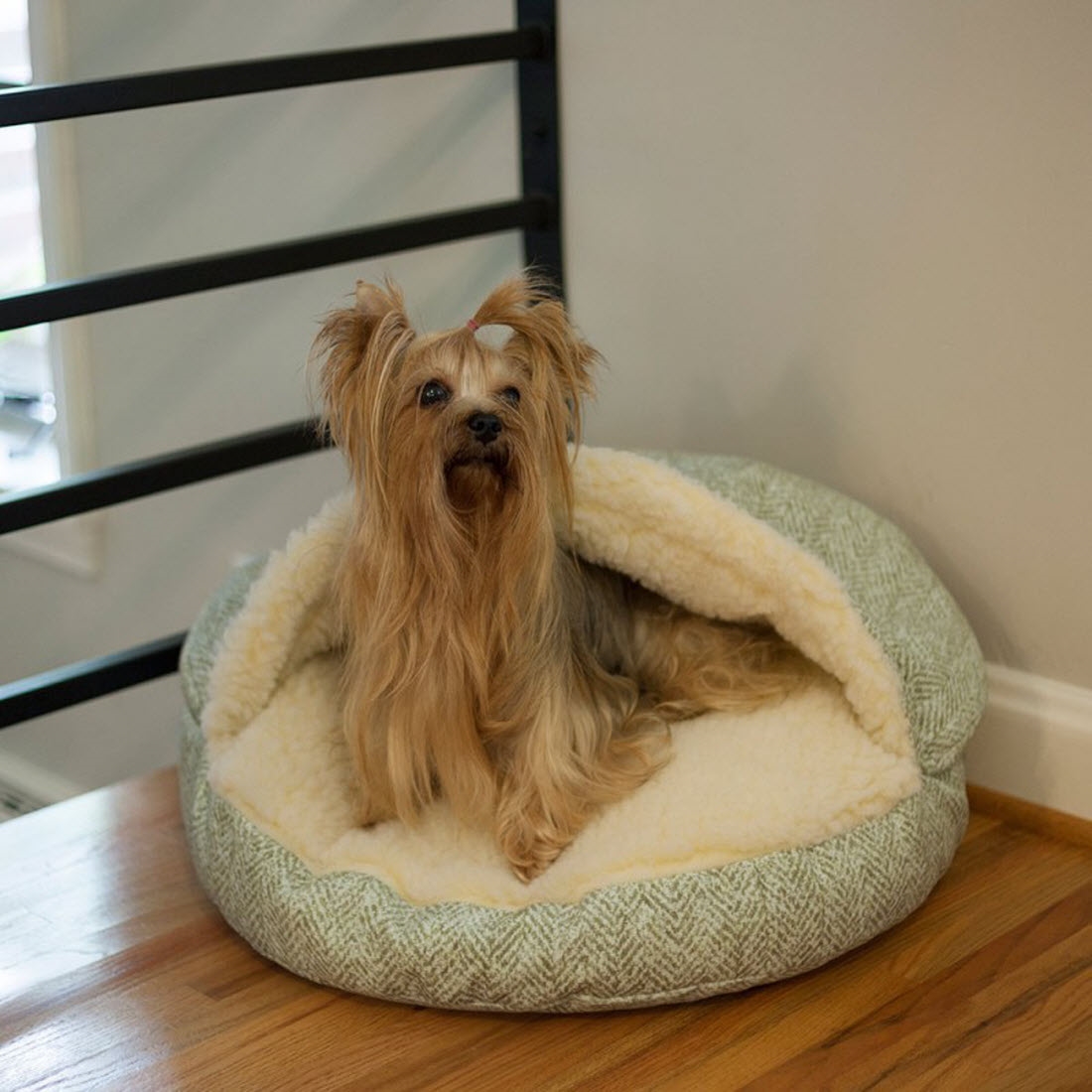 SnooZer Cozy Cave Hundehule LUXURY MICROSUEDE Design Black