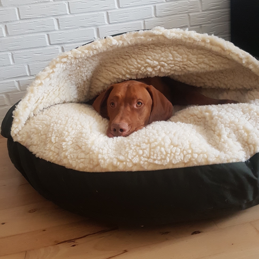 SnooZer Cozy Cave Hundehule STANDARD Design Heather Grey