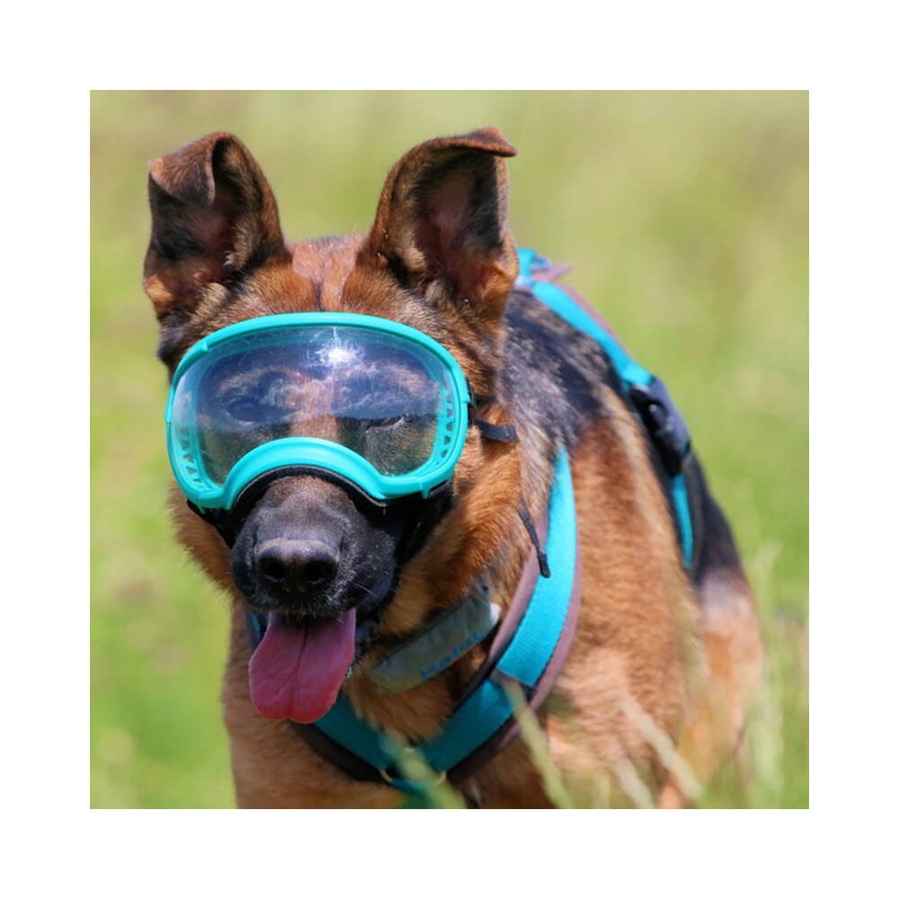 Hundebrille REX Specs V2 Sol & Sikkerhedsbrille LARGE Sort