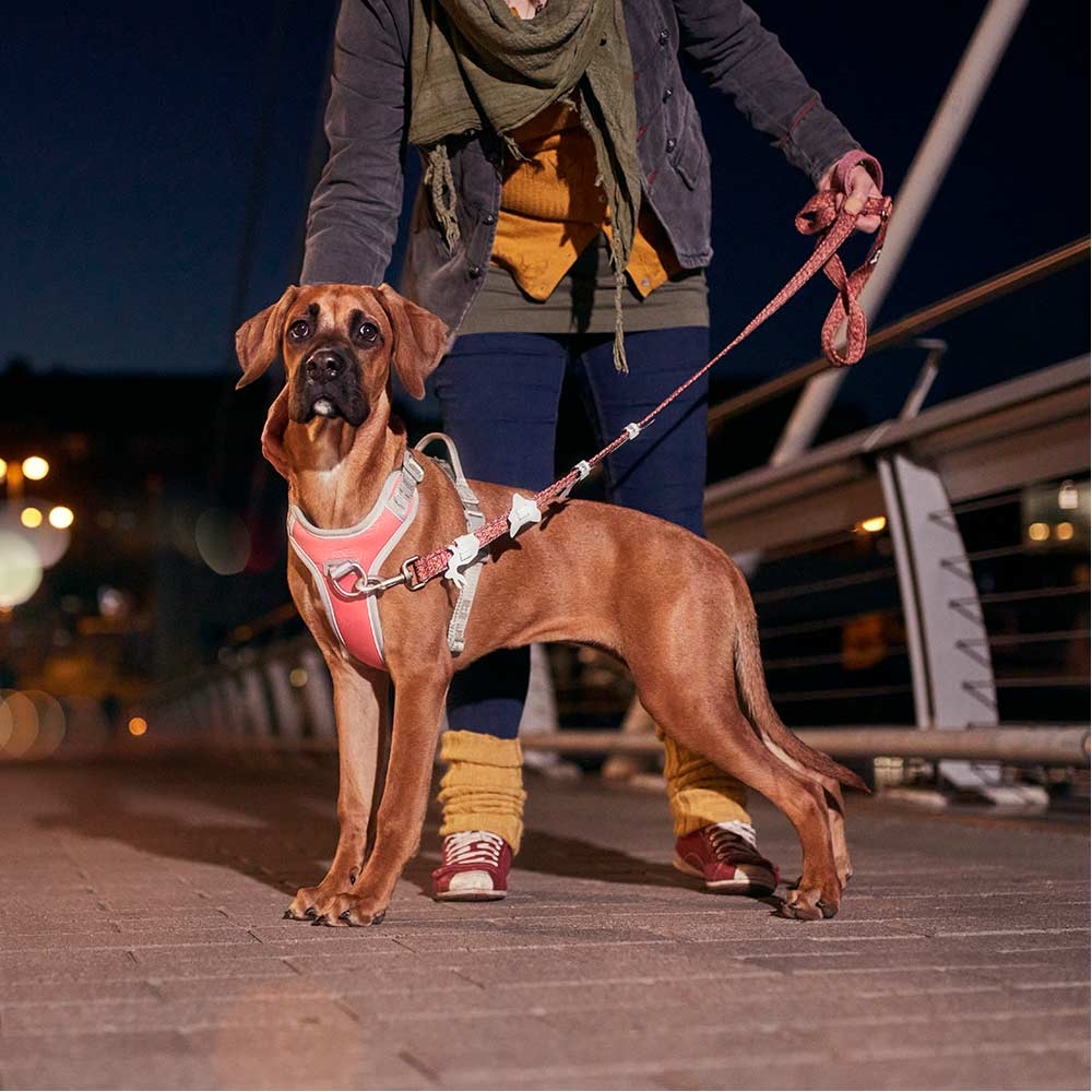 Hurtta Venture No Pull Hundesele i Farven Buckthorn