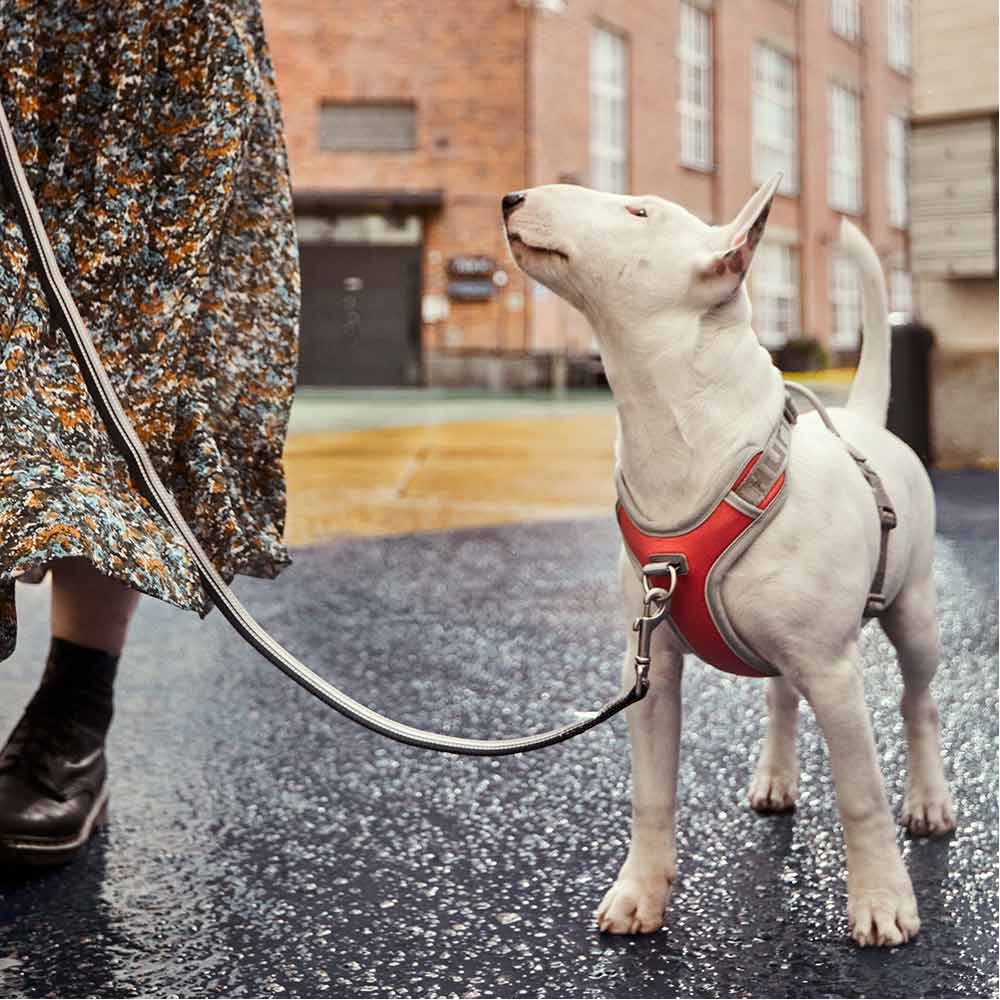 Hurtta Venture No Pull Hundesele i Farven Bilberry