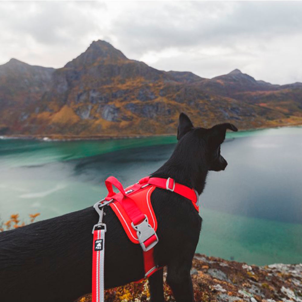 Hurtta Weekend Warrior ECO Hundesele i Grøn