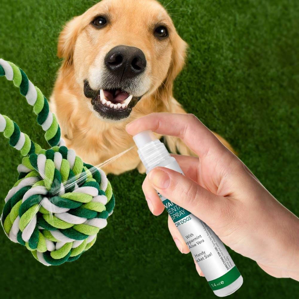 Vets Best Advanced Dental Spray And Floss Ball
